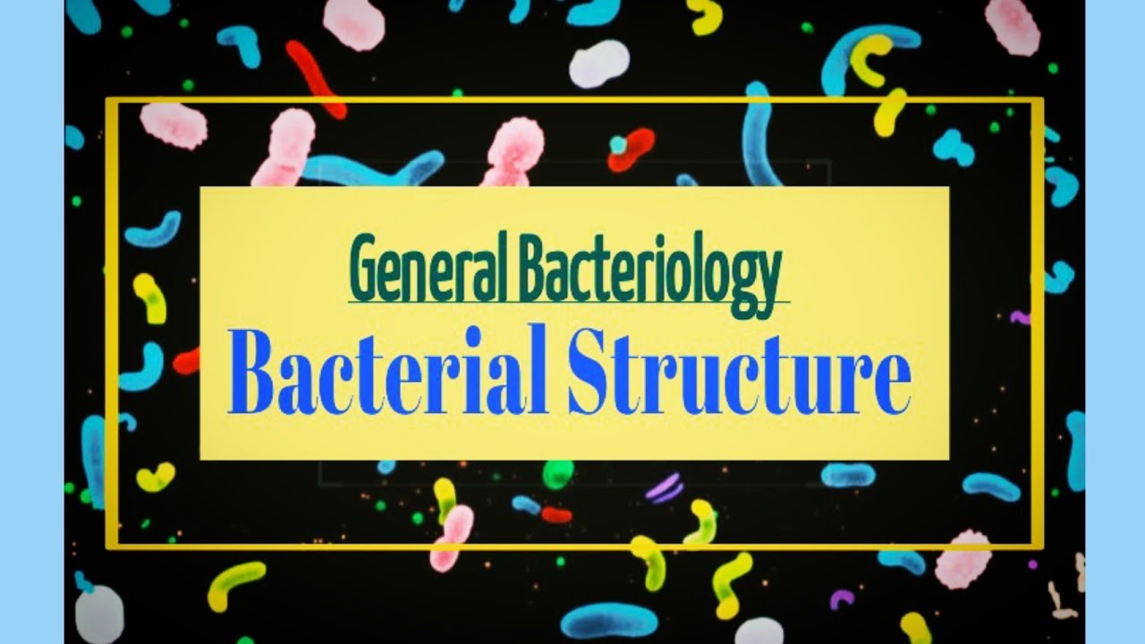 Bacterial Structure (General Bacteriology Part-1) - YouTube