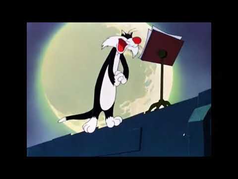 Looney tunes-Figaro