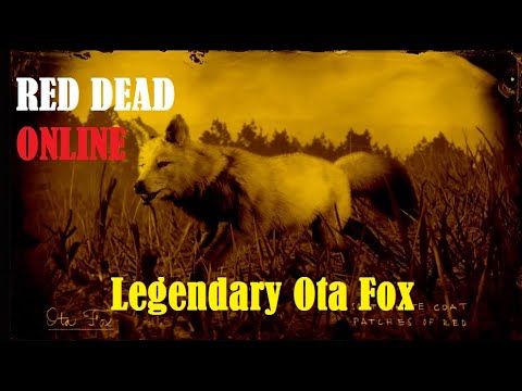Red Dead Online - Legendary "Ota" Fox Location - YouTube