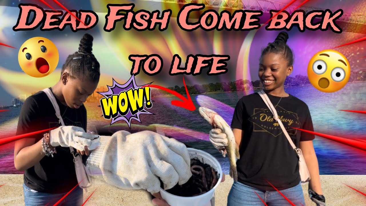 DEAD FISH COME BACK TO LIFE | FISHING WITH THE FAMILY AN THIS HAPPEN ...