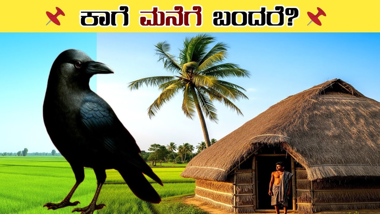 ಕಾಗೆ ಮನೆಗೆ ಬಂದರೆ ಏನು ಶಕುನ? ವೈಜ್ಞಾನಿಕ ಅರ್ಥವೇನು?⚡kage manege bandare?⚡ ...
