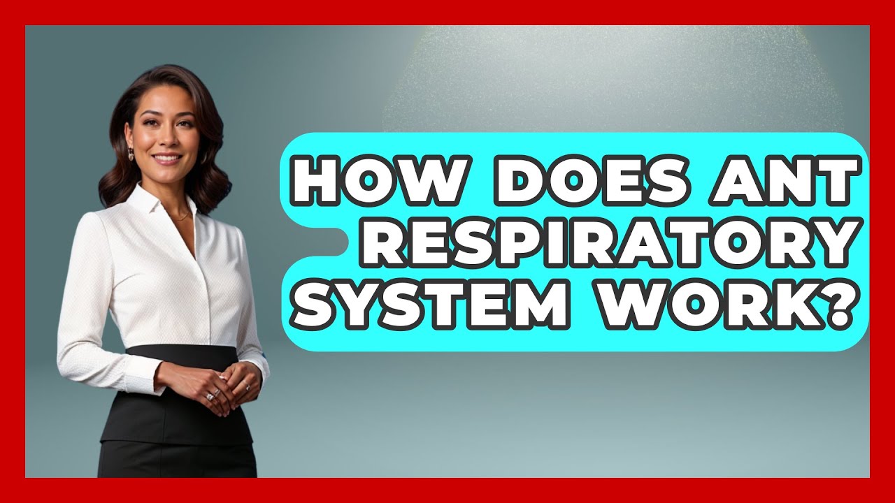 How Does Ant Respiratory System Work? - Reptilian Wonders - YouTube