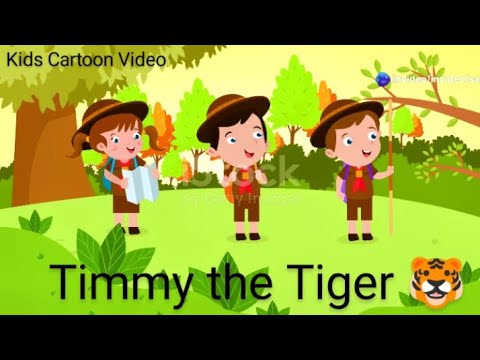 Timmy the Tiger 🐯 | Kids Cartoon Video 🐅 - YouTube