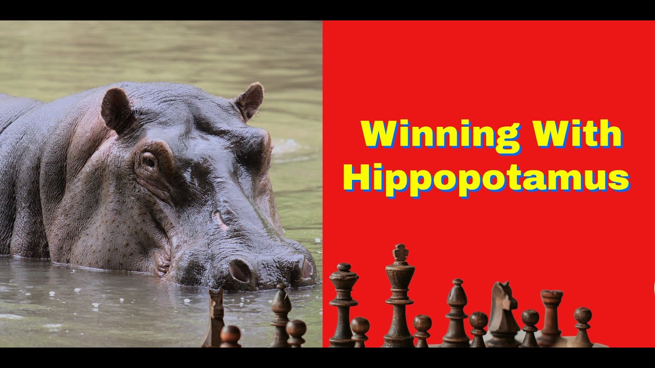 Winning With Hippopotamus Defense | Laszlo Barczay vs Borislav Ivkov ...