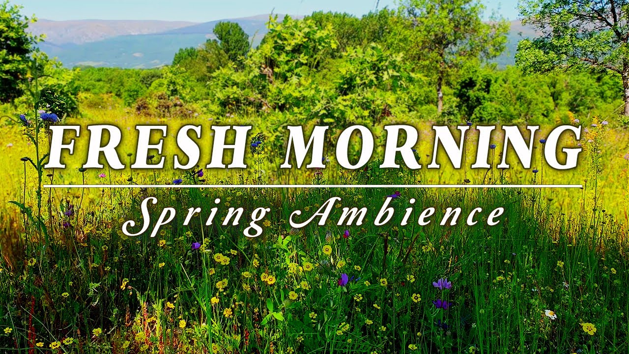 🌿🌞A FRESH START FOR A POSITIVE DAY🌻Healing Spring Sounds & G E N T L E ...