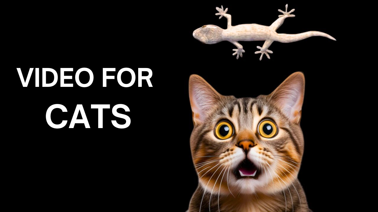Cat Games: Gecko Chase! Video for Cats to Watch - YouTube