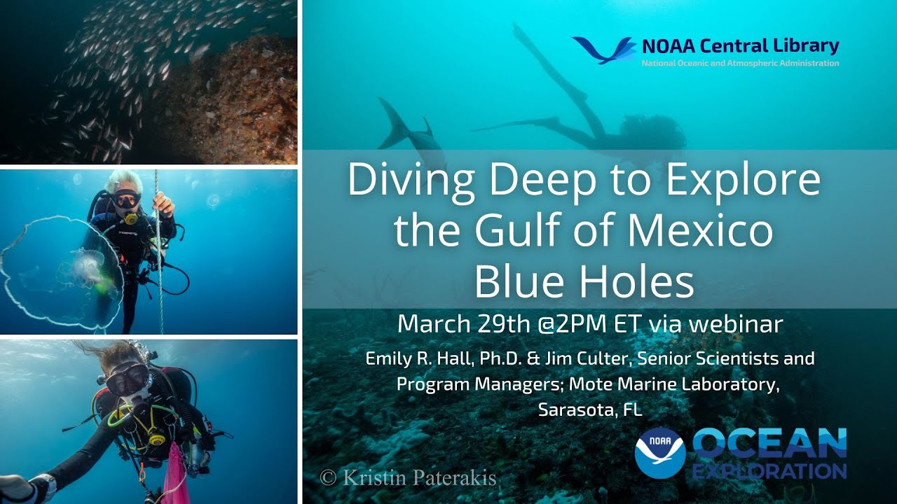 Diving Deep to Explore the Gulf of Mexico Blue Holes - YouTube