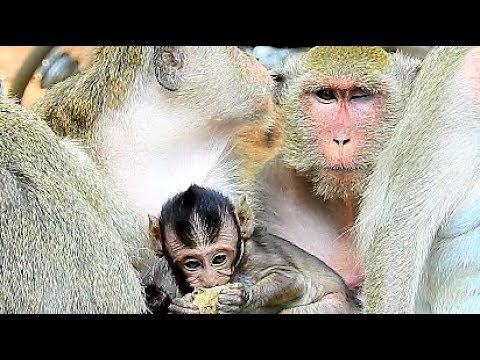 Popeye Don't Care About Baby Near, She Look Upset. - YouTube
