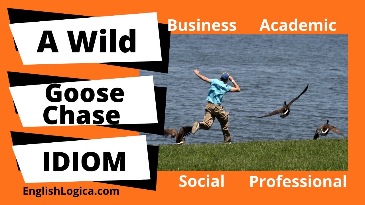 A Wild Goose Chase Idiom Business English Vocabulary Everyday a-wild-goose-chase-idiom-business-english-vocabulary-everyday