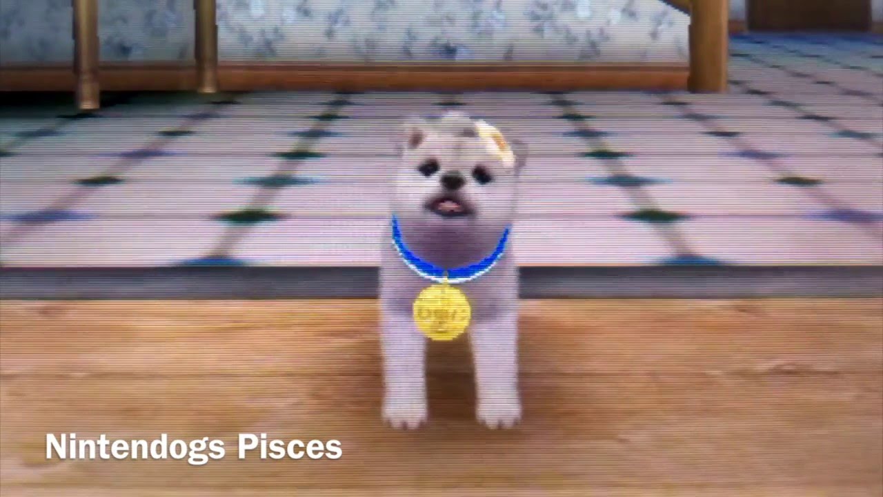 Hot N Cold MEP Part 2 | Nintendogs Sparkle - YouTube