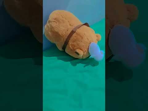 Yudi ngangkang #meme #lucu #keinmoytod #nocopyright #sunda