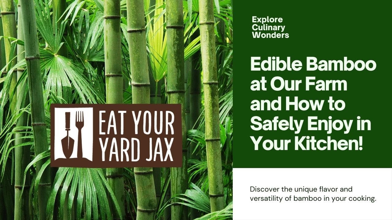 🎋 Explore Culinary Wonders: Edible Bamboo at Our Farm and How to Safely ...
