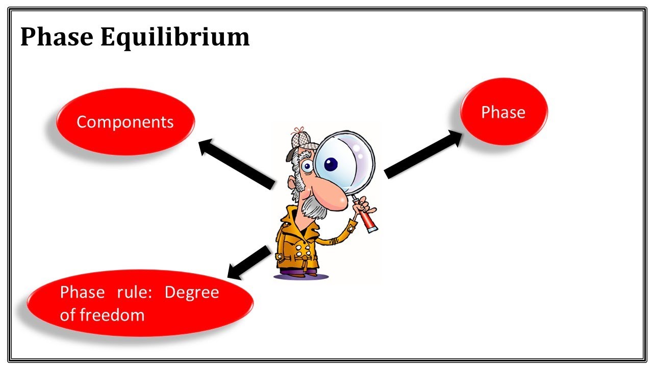 Phase Equilibrium - Phase Rule | III Sem B.Sc. Complimentary Chemistry ...