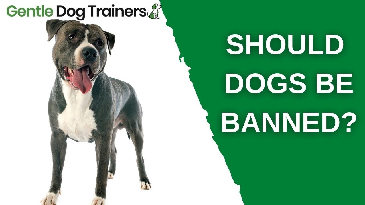 What Dog Breeds Are Prohibited In Australia