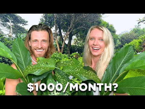 Living on $1000/month in World's EASIEST Country to Retire (Boquete, Panama)