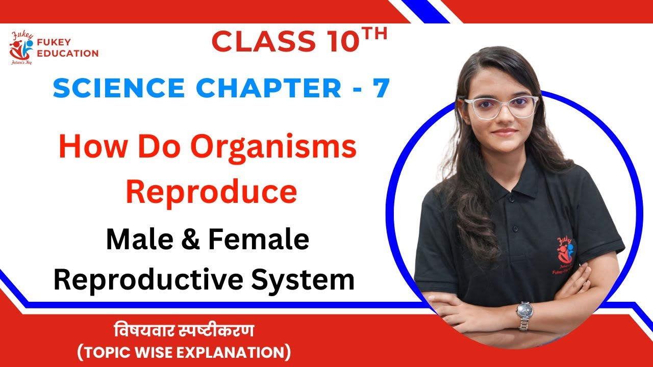 Male & Female Reproductive System | Class 10th Science | Chap 7 How Do ...