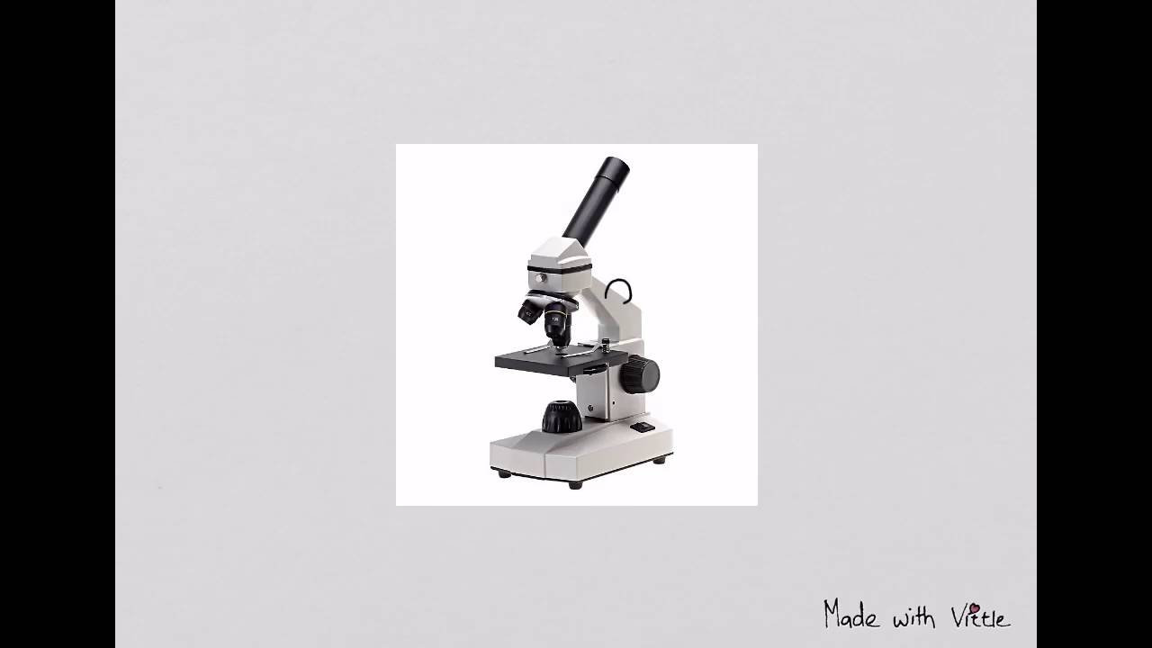 How to hold a microscope - YouTube