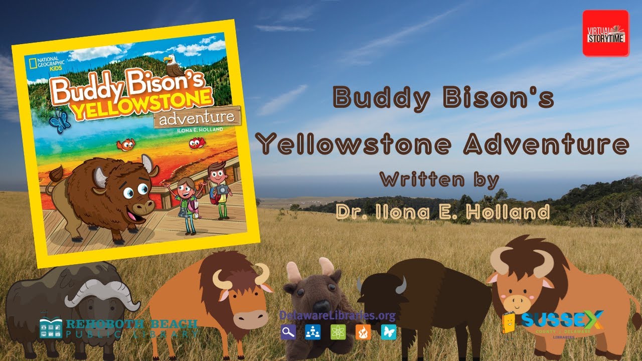 Buddy Bison: All About Bison - YouTube