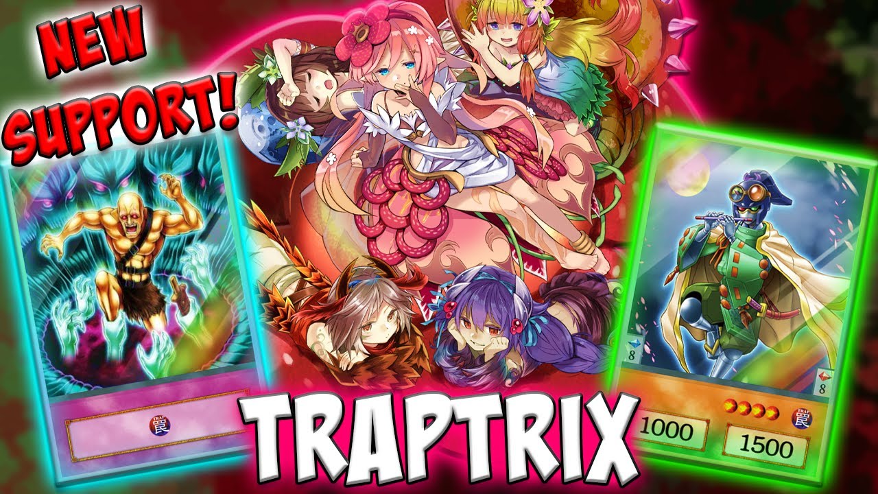 NEW Anti-Snake Eye Trap Hole Support! Traptrix Superheavy Samurai! | Yu ...