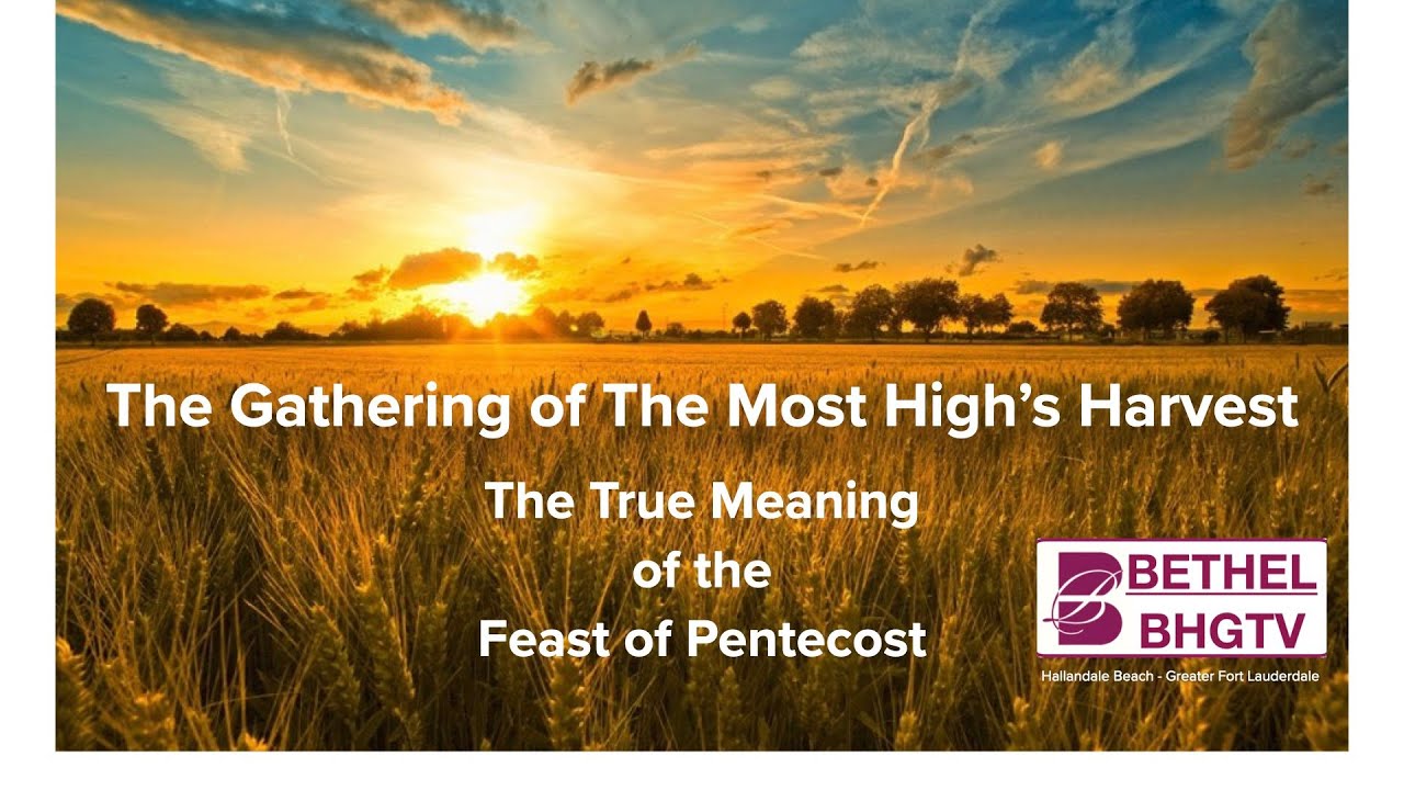 Gathering of the Saints During the Return of the Lord - YouTube