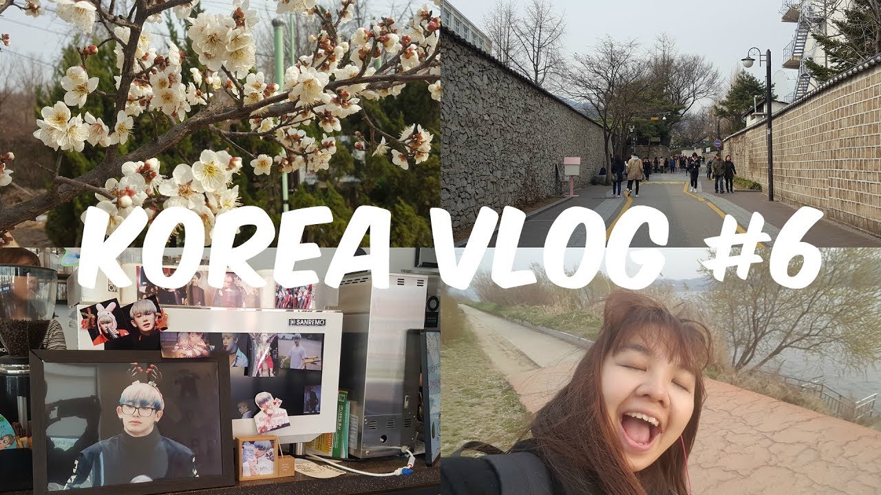 2017 KOREA VLOG #6 (BUKCHON HANOK VILLAGE, GOBLIN FILMING SITES, WONHO ...