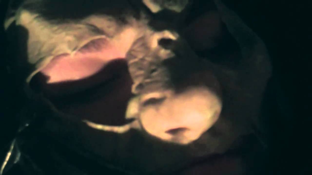 The Gaffer - Trailer - YouTube