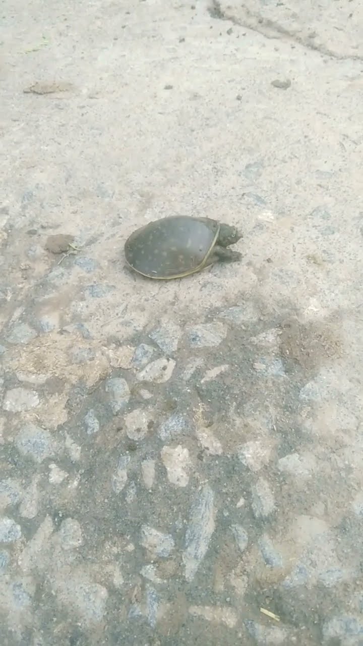 August 4, 2024 - YouTube