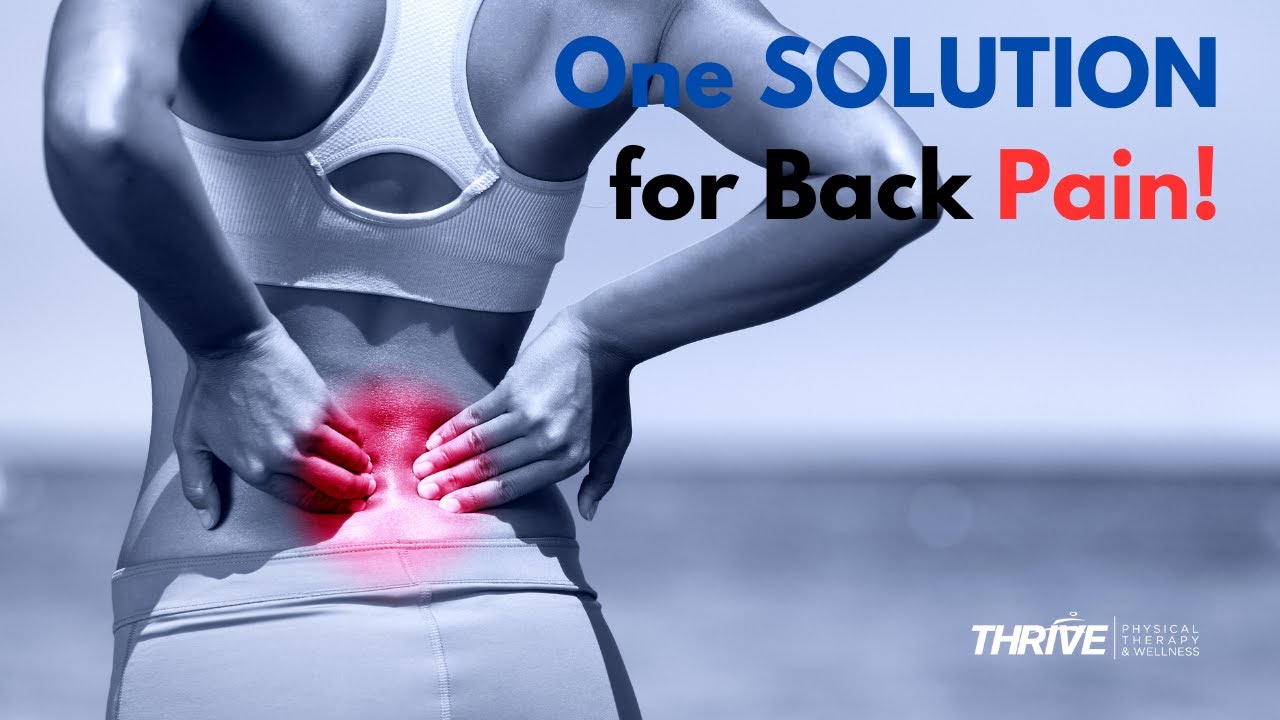 A SOLUTION for Back Pain! - YouTube