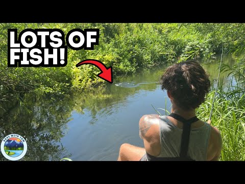 This Small River is PACKED with Fish!