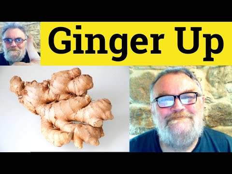 😎 Ginger Up Meaning - Ginger Up Definition - Ginger Up Examples - Ginger Up Defined - Ginger Up