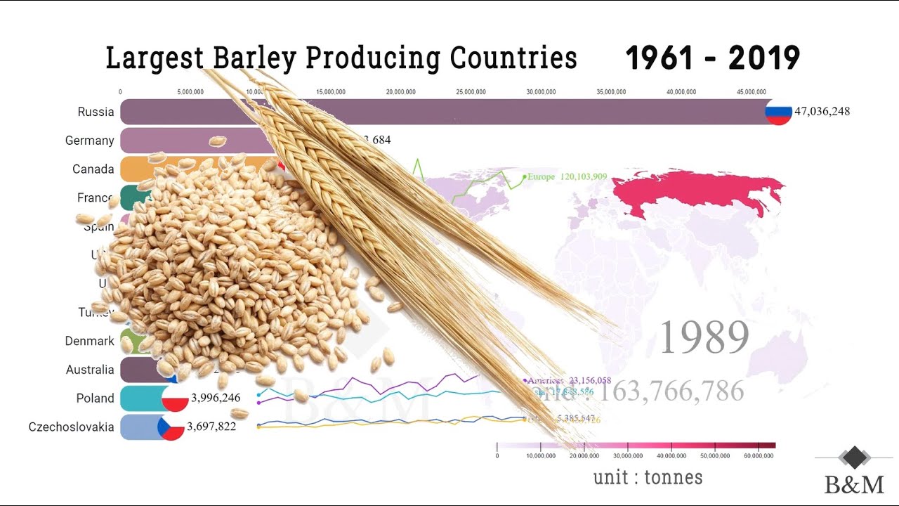 Largest Barley Producing Countries - YouTube