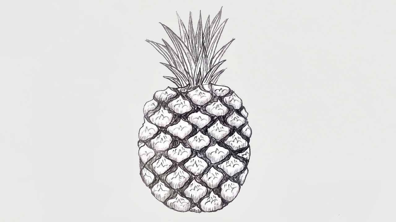 Pinapple Drawing Pineapple Fruit Bowl By Tisha Lee On Artfully Walls