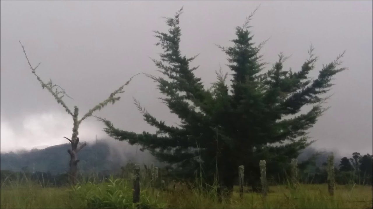 La florida, Volcan, Tierras Altas - YouTube