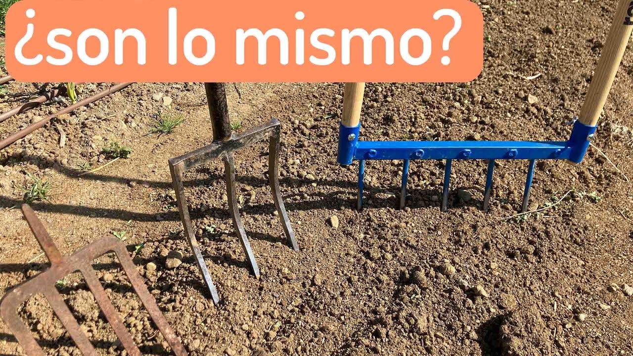 Tipos de layas - YouTube