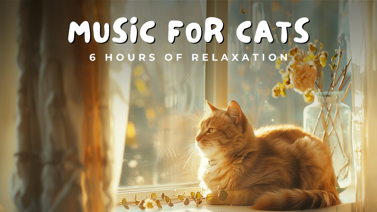 🎻 6 Hours of Classical Music for Cats | 🐱 Calm & Joyful Relaxation ...
