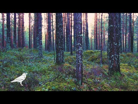 SIFIR - Turmush     | Uyghur   | Rap