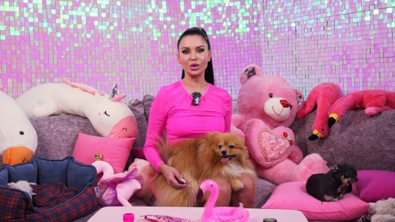 Part 5 🐶 🐾 Organizing Puppy Activities at Home Dog #dog #puppy #petcare ...