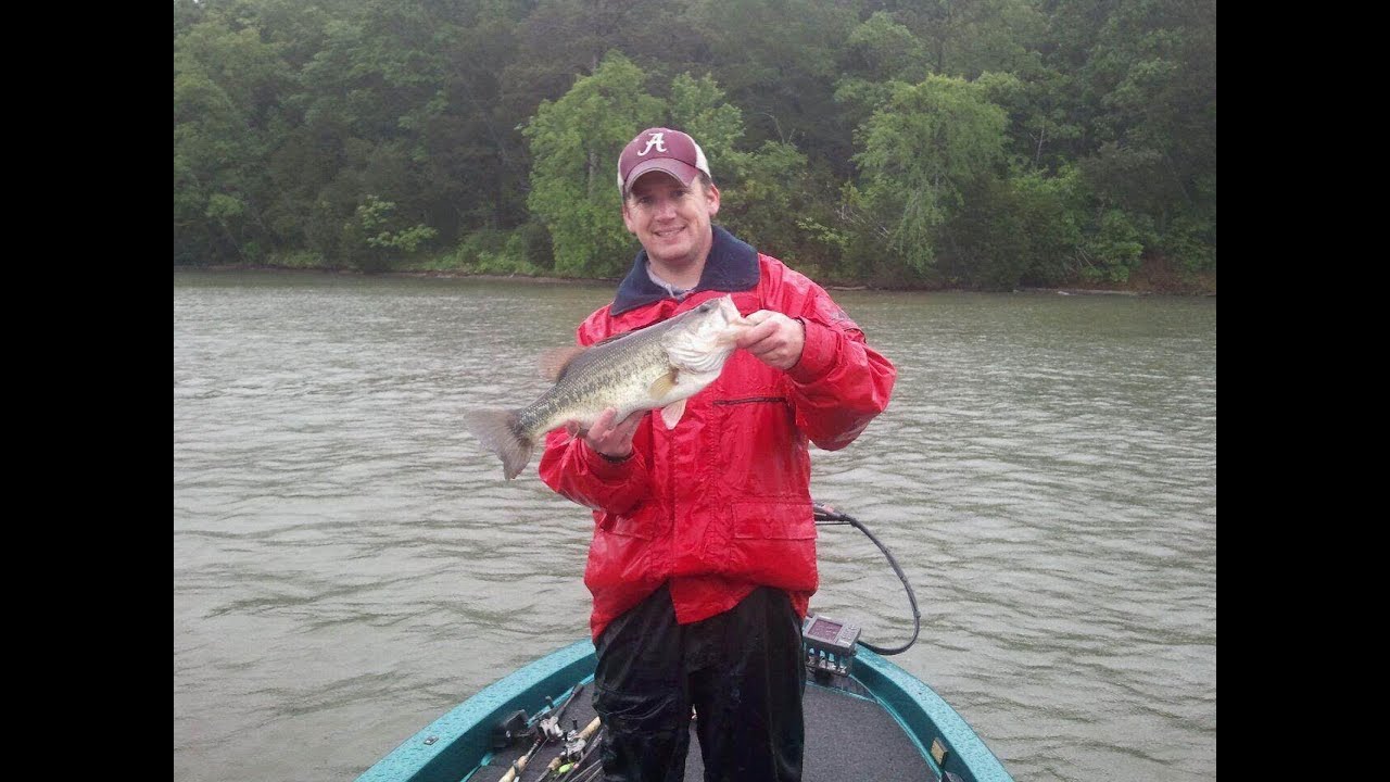 Awesome Rainy Day Fishing Guntersville YouTube awesome-rainy-day-fishing-guntersville-youtube