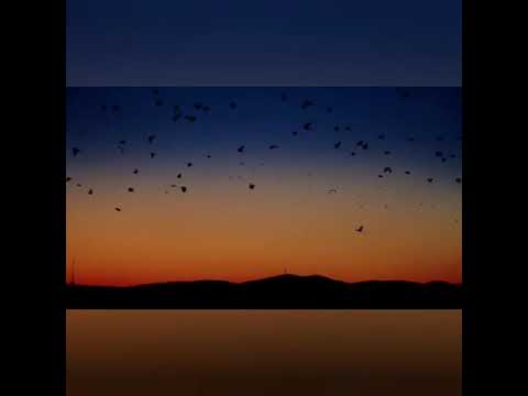 Black Diasy ( Küçüktüm Daha ) Uzun Versiyon