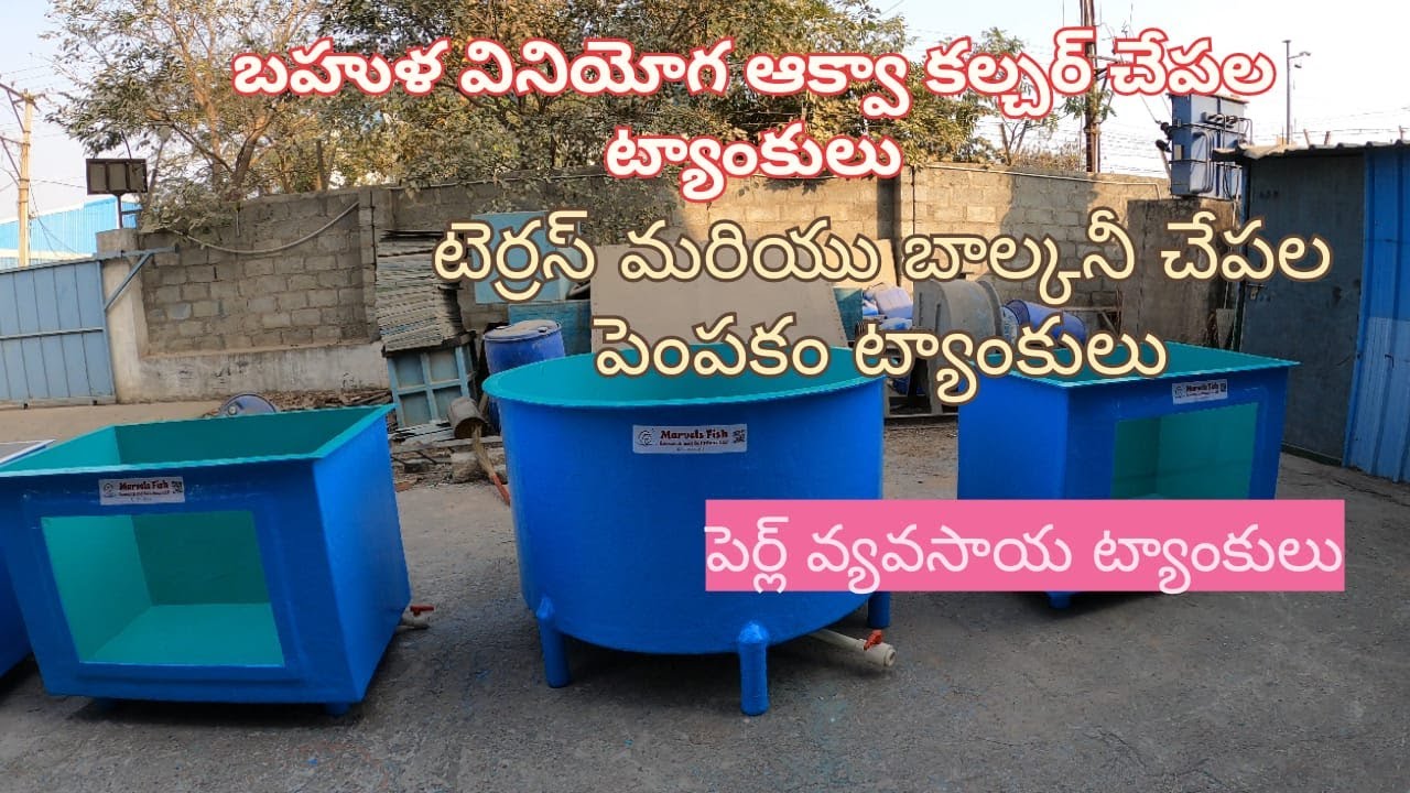Aquaculture Tank Tales: Innovations in Fish Farming Tanks | Marvels ...