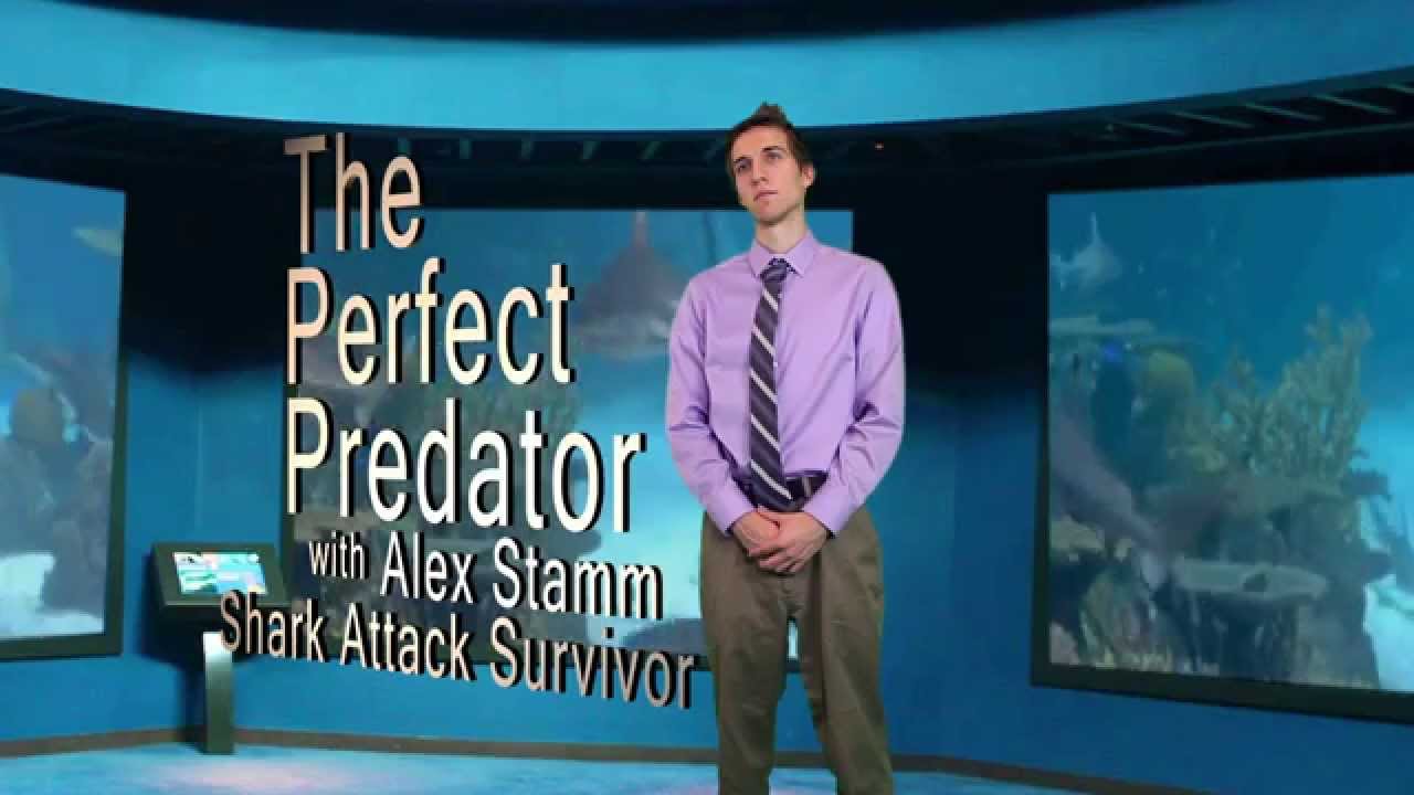 The Perfect Predator - YouTube