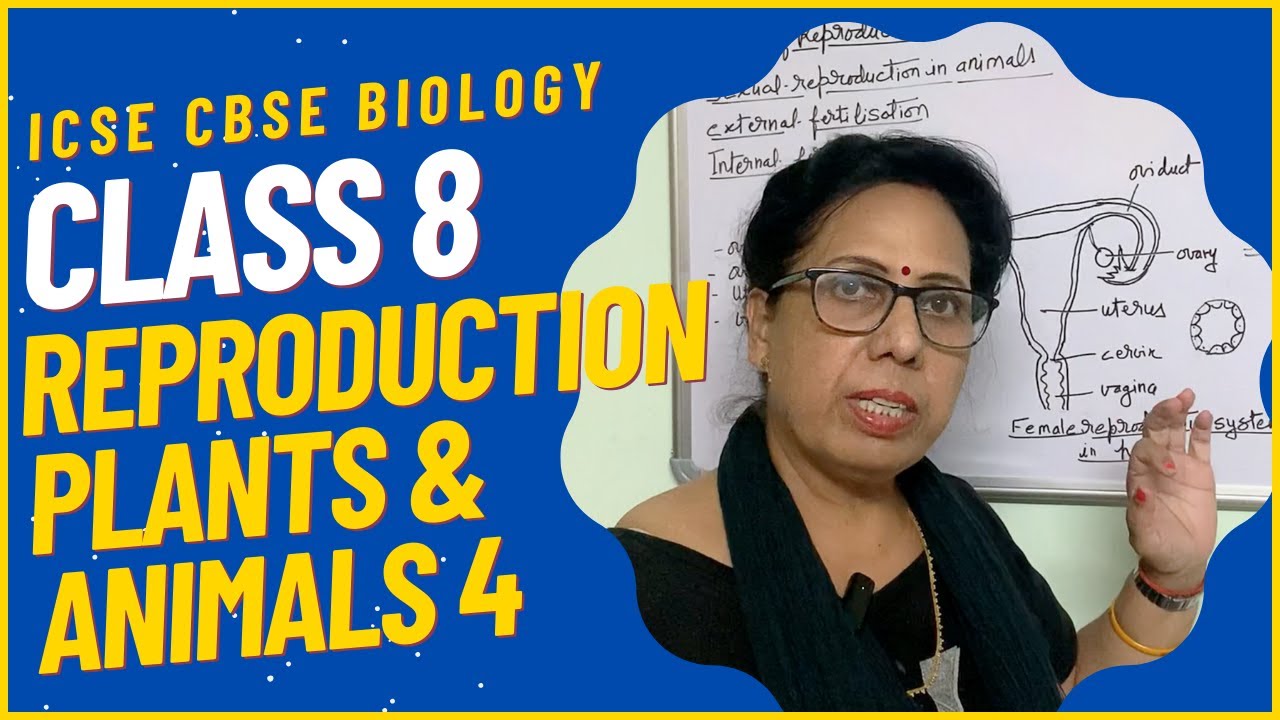 Reproduction in Plants & Animals - PART 4 || Biology || ICSE || CBSE ...
