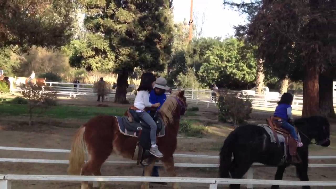 Pony ride - YouTube