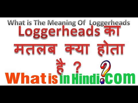 what is the meaning of Loggerheads in hindi | Loggerheads ka matlab kya ...