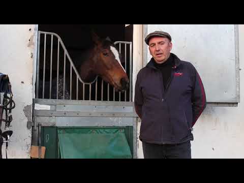 StarLadies Racing - 3/29/20 update from Nicholas Clement - YouTube