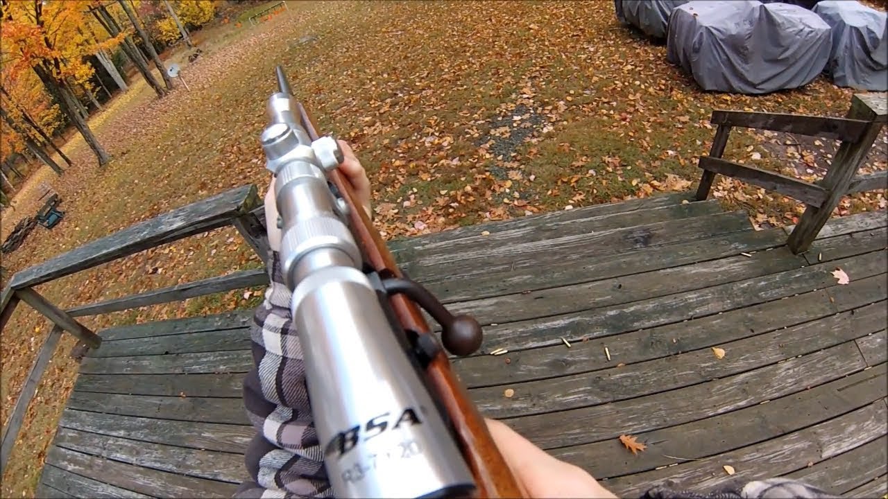 .22 Pistol and Rifle Fun - YouTube