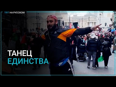 Почему танец дабке стал символом поддержки палестинцев?