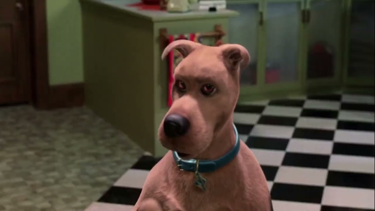 Peter Rabbit and friends S6E22 Peter and the Jet Engine - YouTube