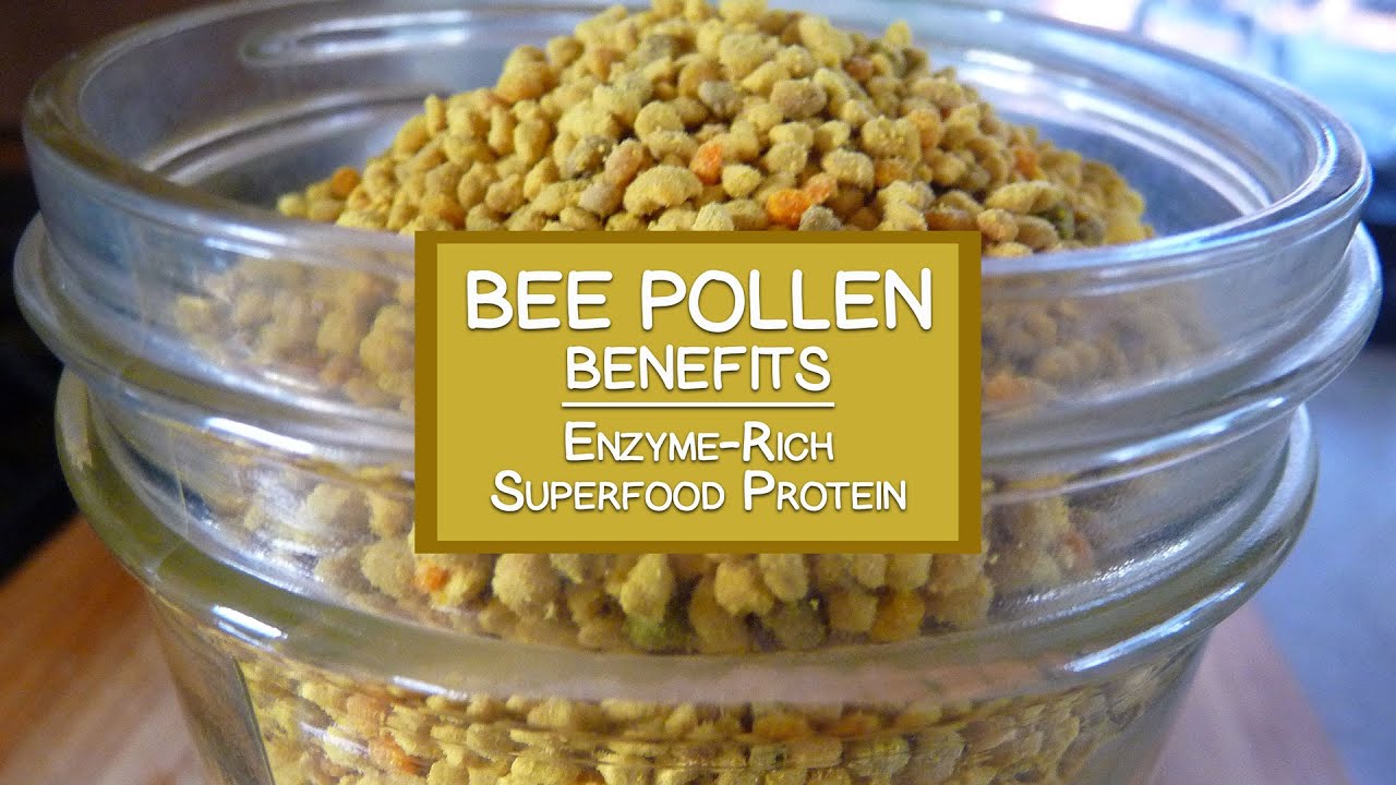 Bee Pollen Benefits as an Enzyme-Rich Superfood Protein Source - YouTube