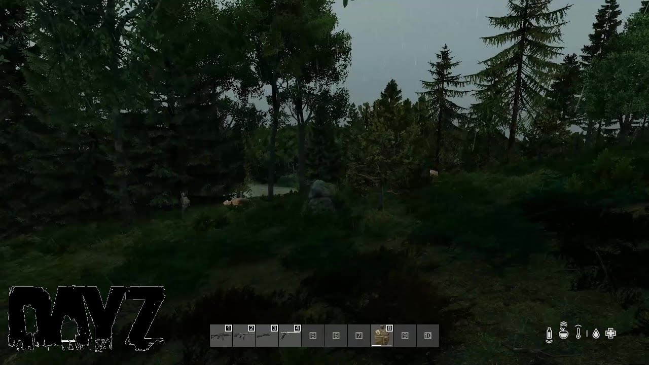 When Mountain Lions Attack Dayz - YouTube
